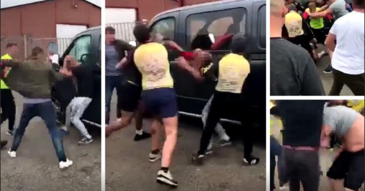 Freefights tussen hooligans: leiders riskeren 2,5 jaar cel, deelnemers ...