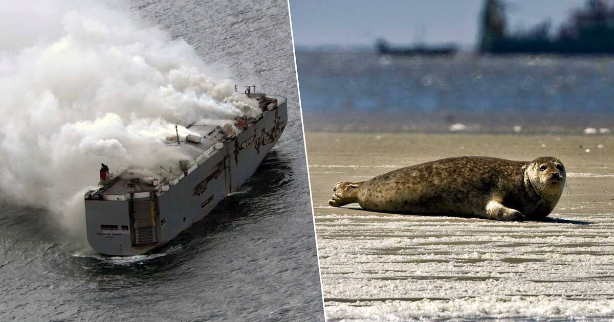 Zes vragen over het brandend schip in de Waddenzee: waarom raakt het ...