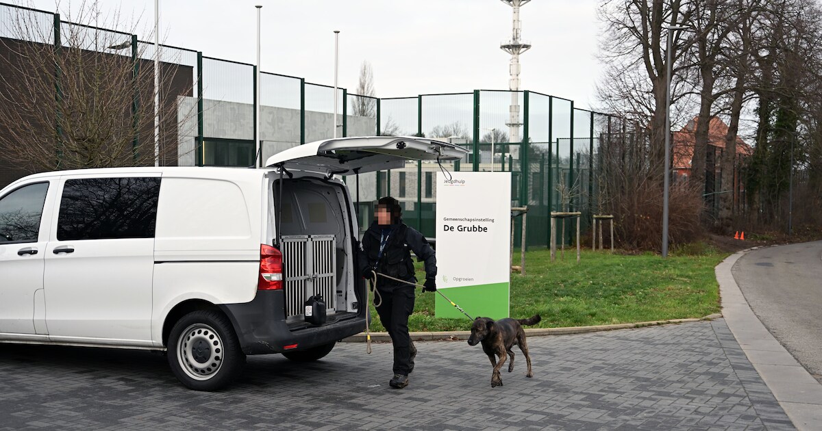 Verlichtingspaal weggehaald en ruimere risicoanalyse van campus ...