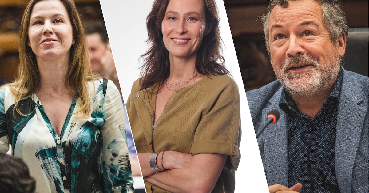 OVERZICHT. Tien stadsgenoten belanden in parlement: zoveel ...