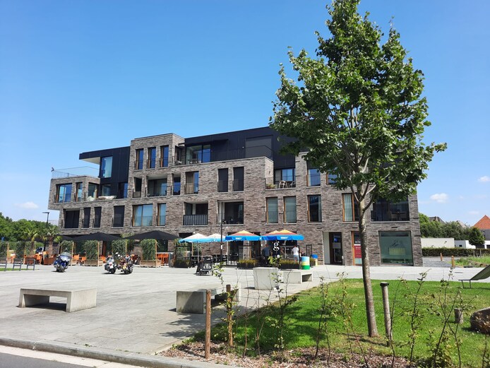 Hans Amez (63) van Lichtjes aan de Leie houdt van Sint-Eloois-Vijve ...