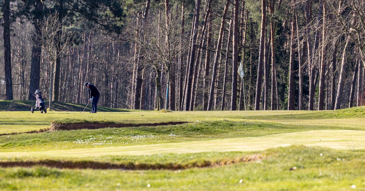 Golfforum kapt geen 7, maar 3 hectare bos voor uitbreiding: “We leggen ...