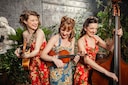 Reeks openluchtconcerten geeft zomer in Schoten cultureel cachet | Foto ...