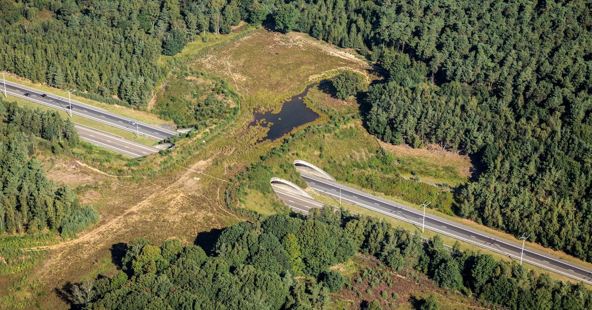 E314 krijgt fluisterasfalt in Maasmechelen: files verwacht vanuit Genk ...