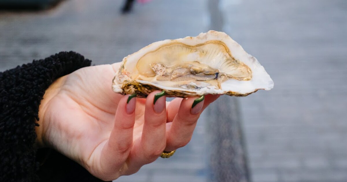 Stad Oostende deelt oesters uit tijdens Valentijnsweekend | Oostende ...