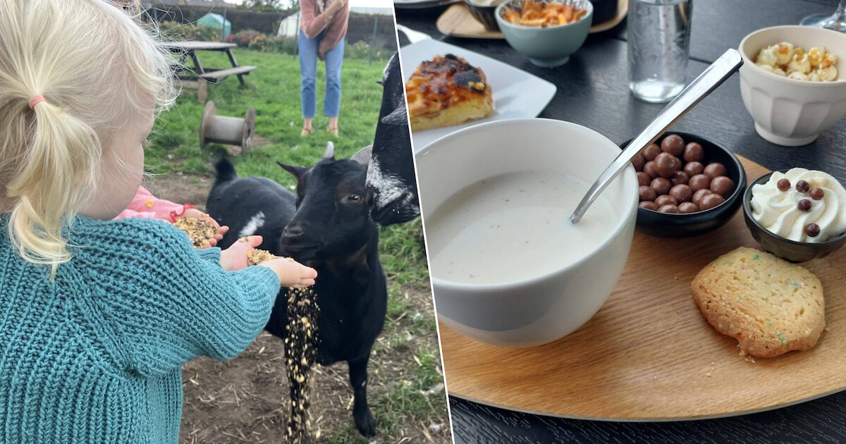 RESTOTIP. Anna-Belle: kindvriendelijk koffiehuis en kleurrijke ...