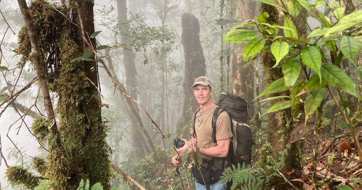 Bioloog Peter Jan de Vries woont in de jungle van Papoea: “Een van de ...