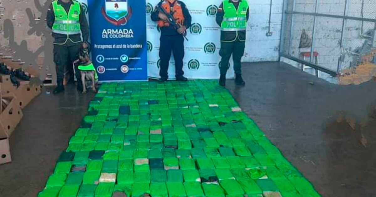 Container bananen met 268 kg cocaïne onderschept | Antwerpen | HLN.be