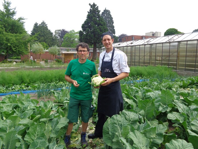 Schoolrestaurant Ten Doorn kookt met groenten uit eigen tuin | Eeklo ...