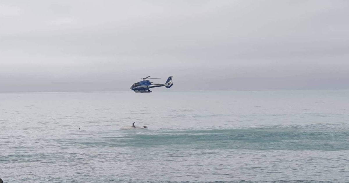 Vijf doden na botsing tussen boot en walvis in Nieuw-Zeeland | Nieuws ...