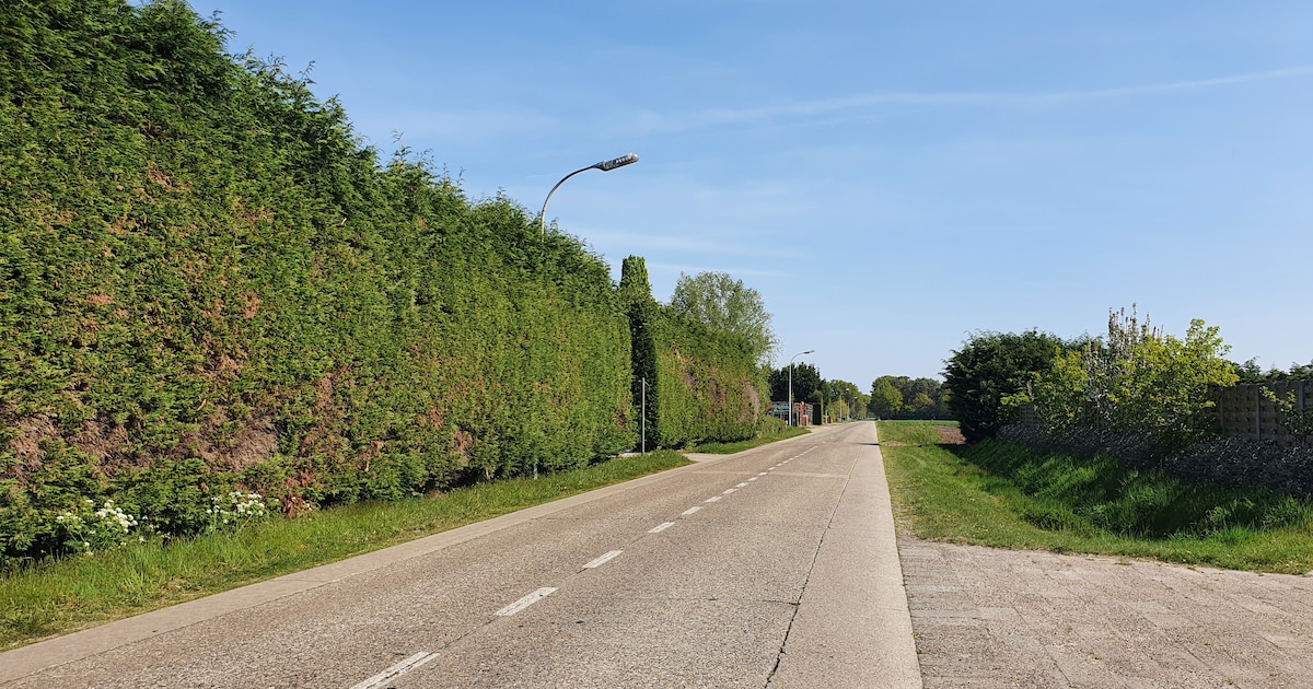 Fietspad van Meer naar Meersel-Dreef op de langebaan: “Hoogst haalbare ...