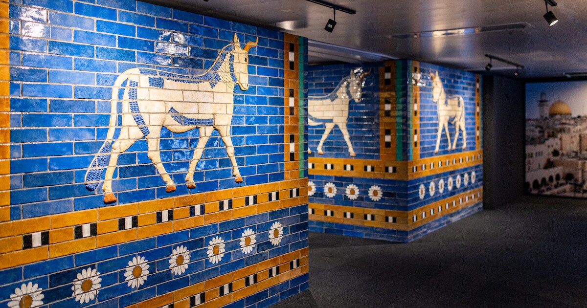 Zomertip: deze expo vertelt het verhaal van muren doorheen de geschiedenis | Home | HLN.be