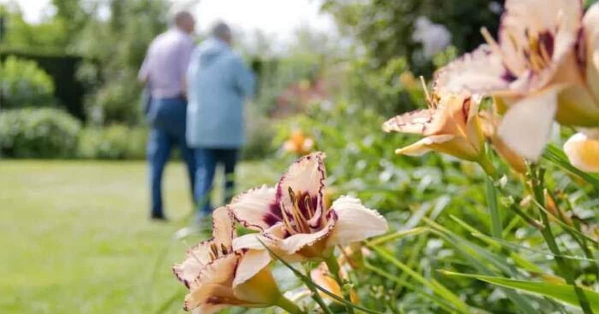 Nico Claus opent tuin in De Pinte voor goed doel | Regio | HLN.be