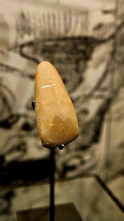 Wandeling langs omgeploegde akker levert prehistorische bijl op: nu te ...