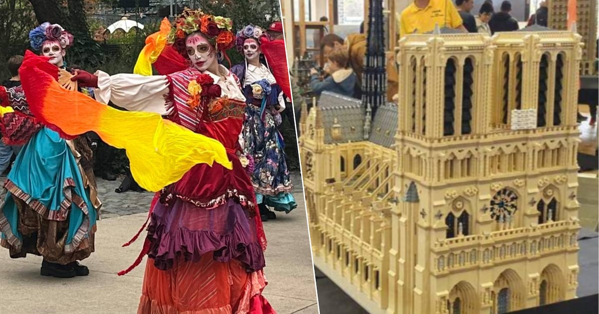 Wat te doen in de Kempen dit weekend? Van een grote legobeurs tot een ...