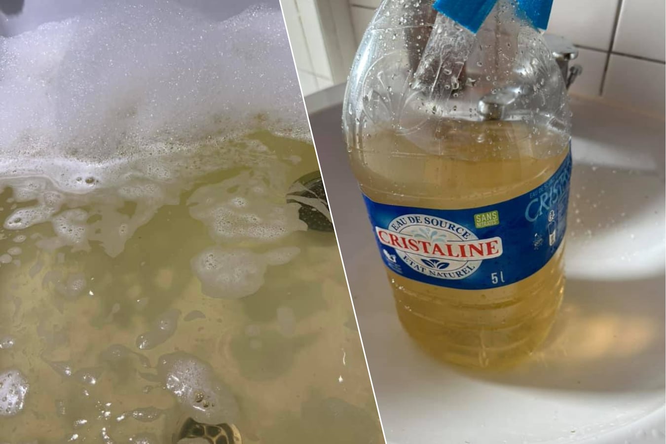 1,8 miljoen keer bedankt! Deze verhalen uit Zelzate raakten jullie in ...