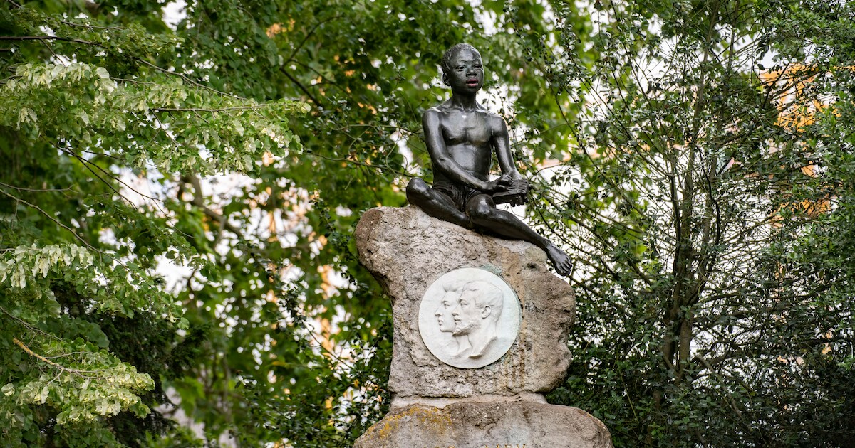 Wordt speelweide in Citadelpark vernoemd naar ‘Sakala’? Congolese ...