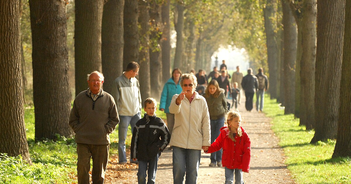 Wandeling langs rustige wegen op 9 oktober | Erpe-Mere | HLN.be