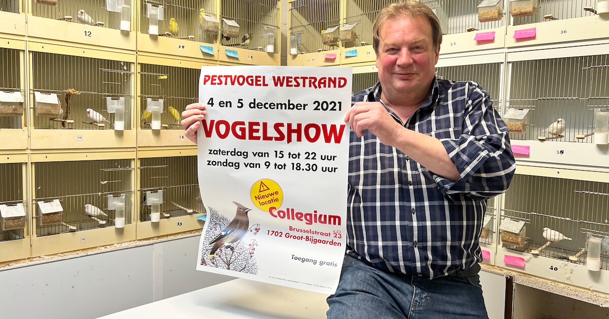 Dit weekend opnieuw vogelbeurs Pestvogel Westrand in Saviocentrum ...
