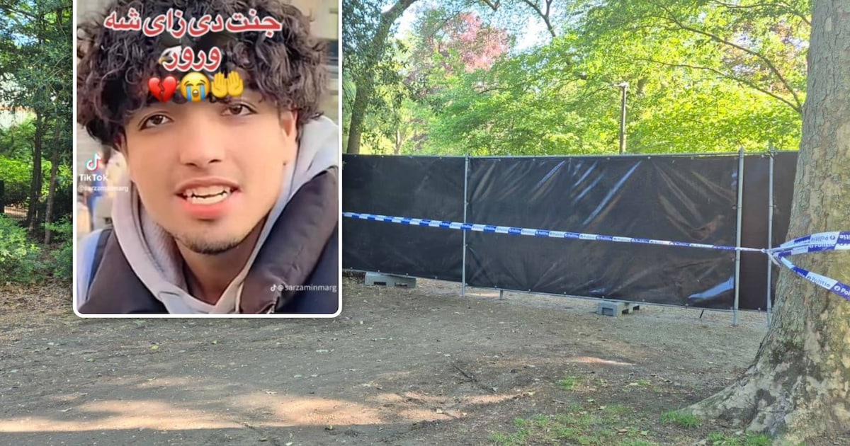 Antwerps Stadspark vandaag afgesloten: jongeren doen strafexpeditie ...