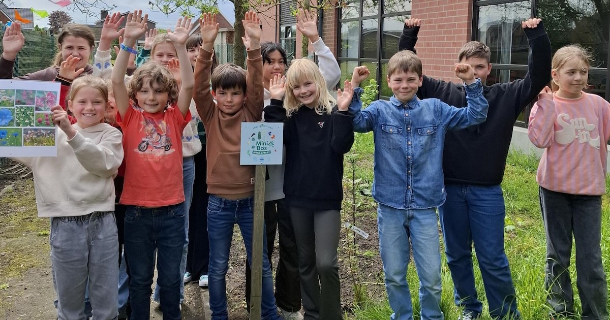 MOZA-bosje en bloemenweide maken Mozaïek Astene groener | Deinze | HLN.be