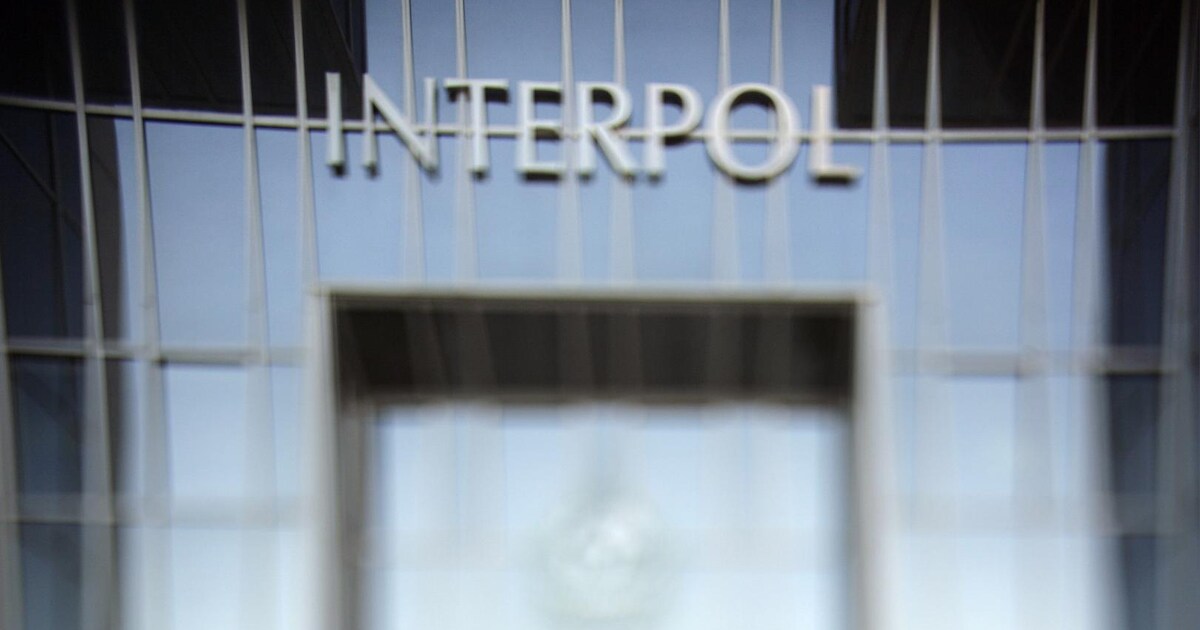 Interpol waarschuwt voor "epidemie" van grensoverschrijdende ...