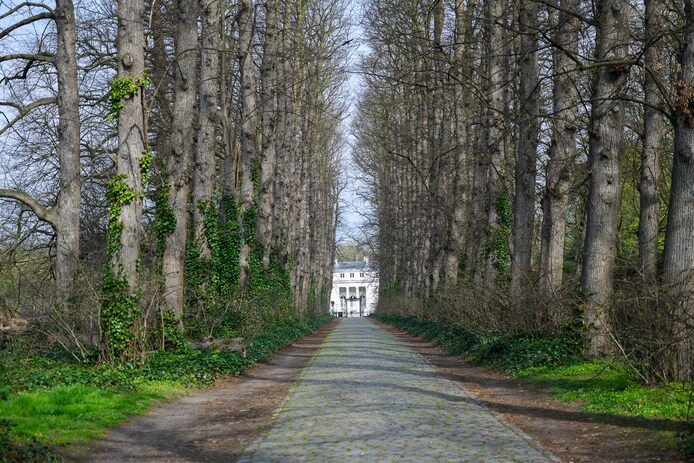 Wandelen in het groen: ontdek hier 8 publieke tuinen in regio Antwerpen ...