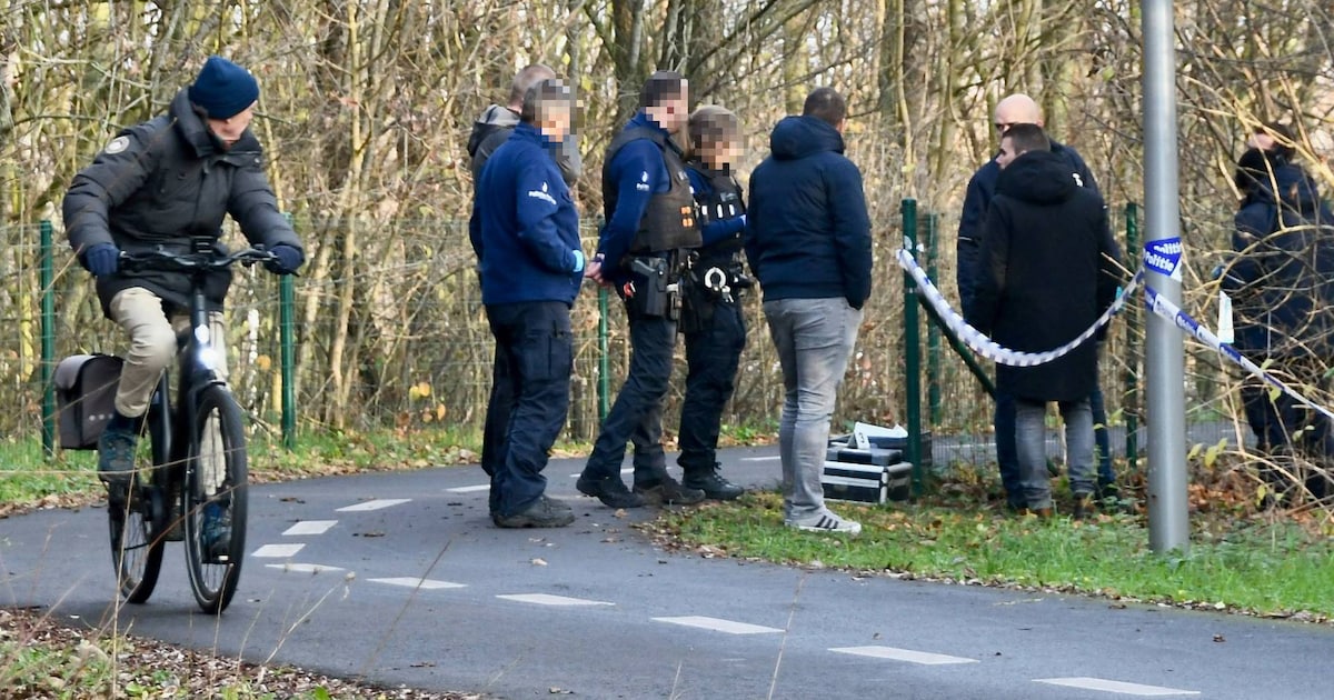 Strikten toevallige passanten een serieverkrachter? Opvallende wending ...