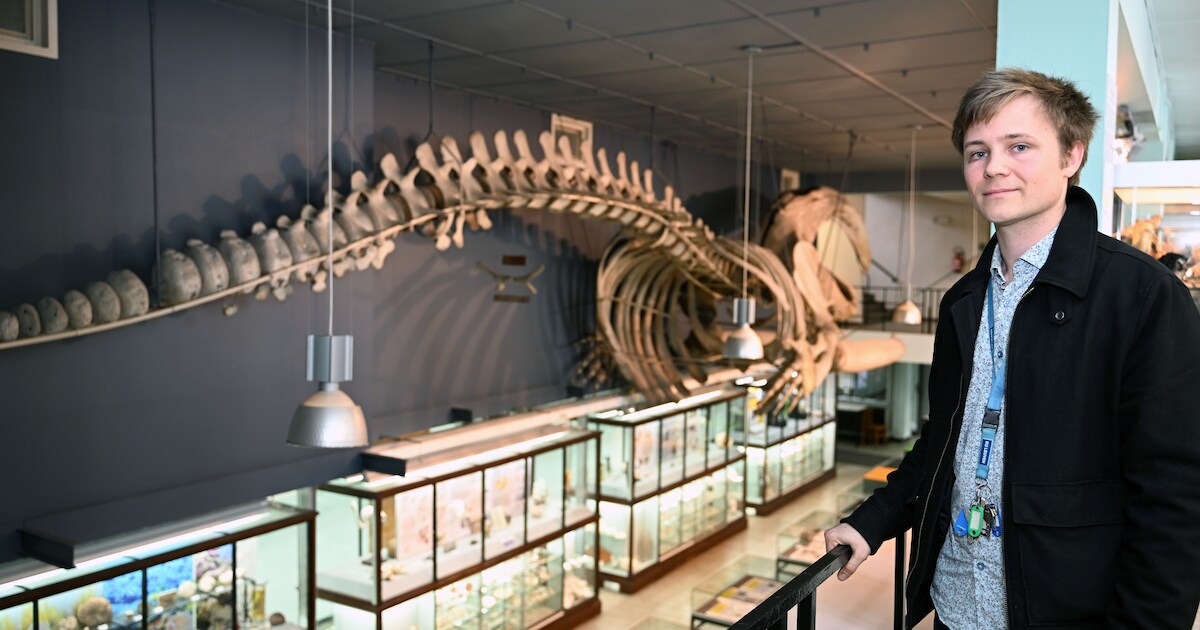 Leuvens ‘kleine, maar fijne’ natuurhistorisch museum gaat een onzekere ...