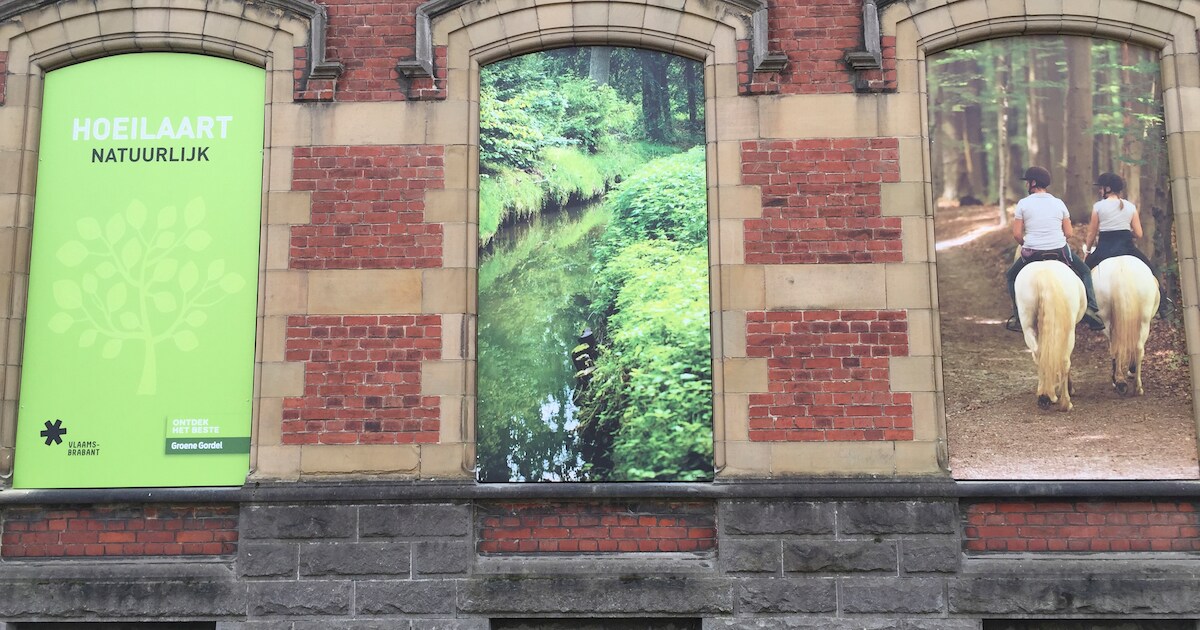 Foto's uit de streek kleuren vervallen station Groenendaal | Hoeilaart ...