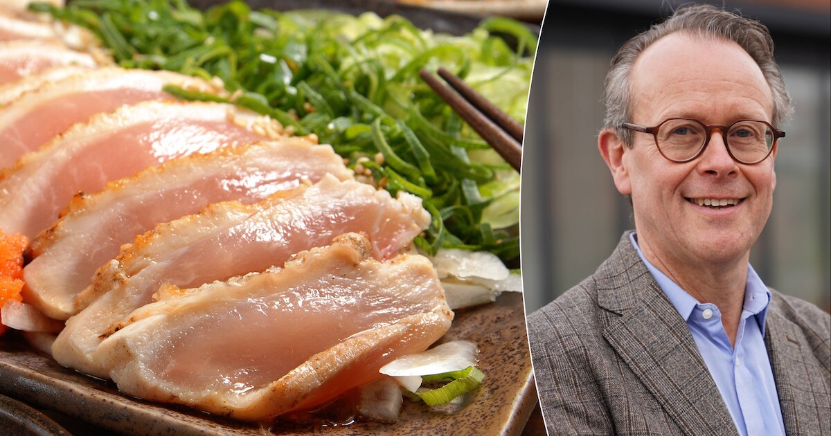 ‘Kip sashimi’ is een online trend, maar hoe gevaarlijk is het om rauwe ...