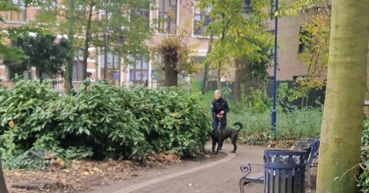 Politie betrapt dealer (31) op heterdaad in stadspark | Regio | HLN.be
