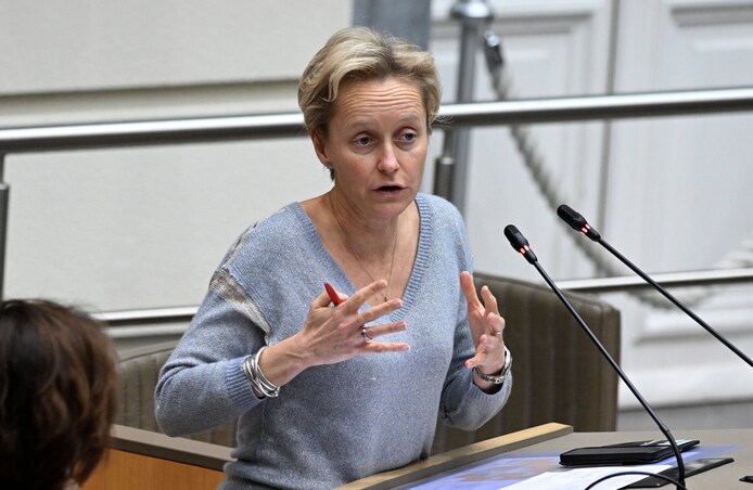 Derde rijstrook op E403 laat op zich wachten: “Grondig studiewerk nodig ...