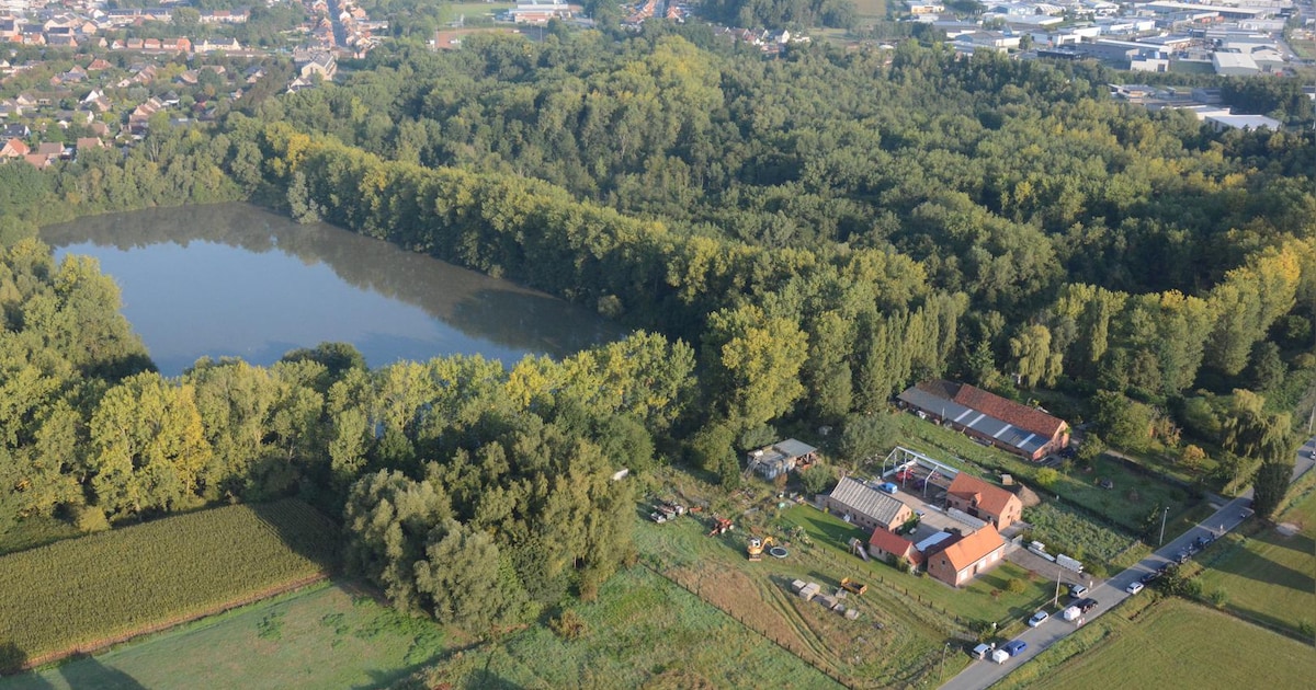 Valentijnswandeling in Stekene brengt natuur en romantiek samen | Regio ...