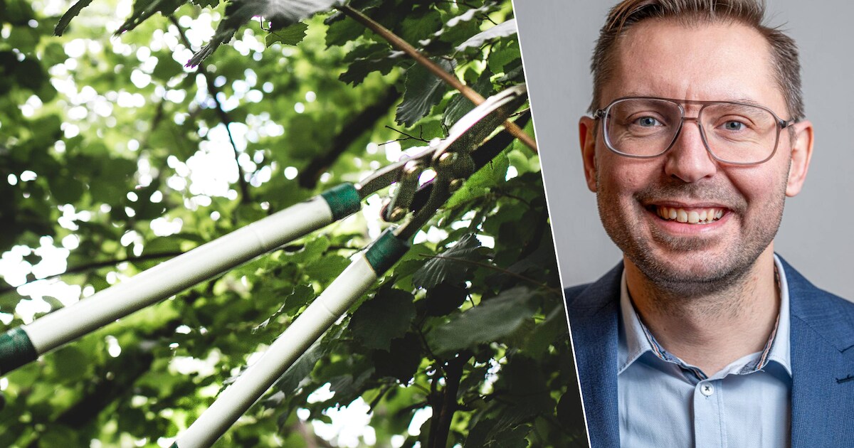 Bestuur wil nieuwe retributieregel voor overhangende takken: “Gemeente ...