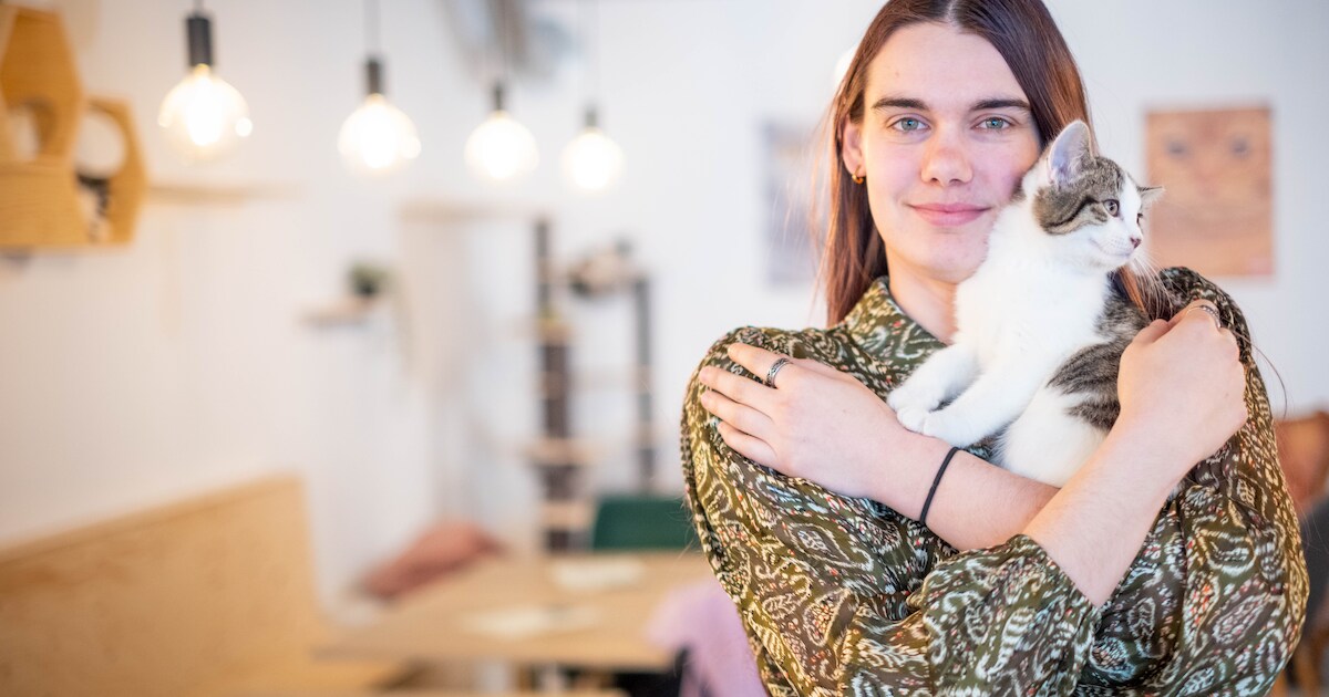 Axelle zoekt overnemer voor kattencafé Cats & Cups: “Iemand met ...
