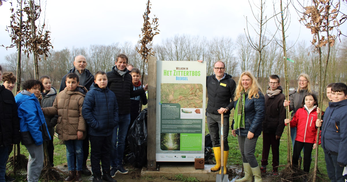 Zittertbos in Lot moet stuk van eeuwenoud bos doen herleven: “Dit bos ...