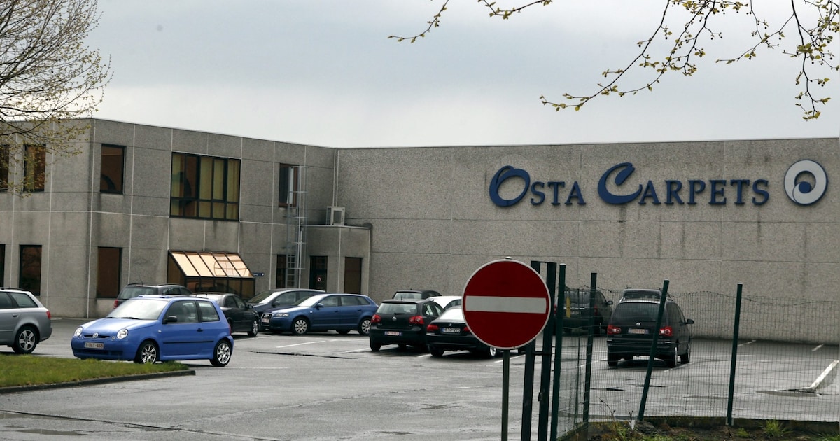 Eigenaars Osta Carpets betalen 600.000 euro boete voor miljoenenfraude ...