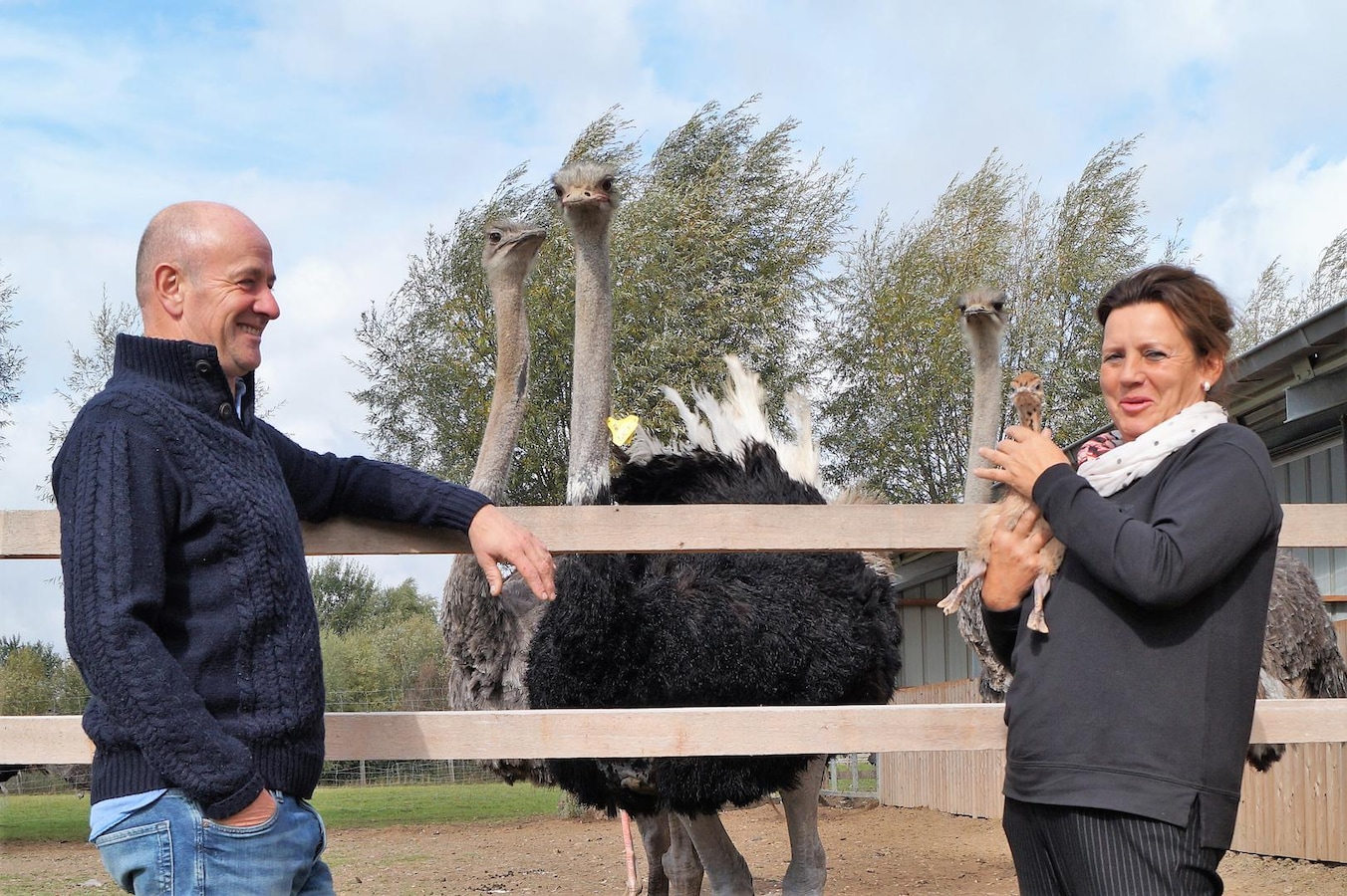 “Met wat geluk komen de eieren uit voor de ogen van de bezoekers ...