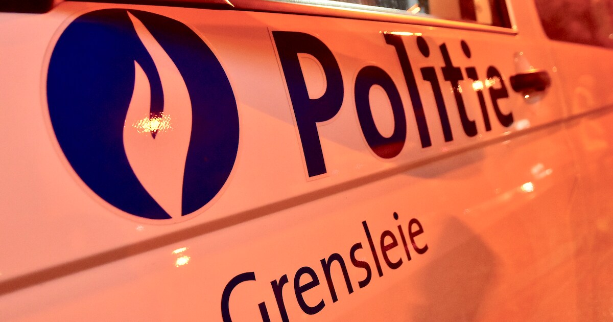 Man (30) riskeert jaar cel voor schoppen aan agenten: “Politie heeft ...