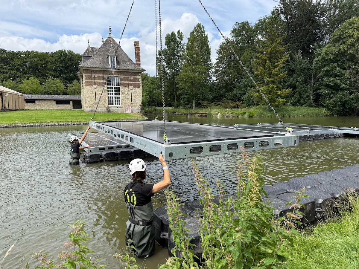 Paradise City plaatst 126 zonnepanelen op het water: “Vooral groene ...