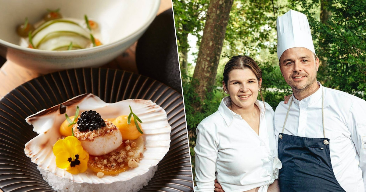 Jong Keukengeweld in Oost-Vlaanderen: bij deze 11 restaurants kan je ...