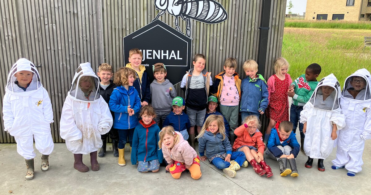 Kleuters Natuurschool Klavertje 4 bezoeken bijenhal | Zottegem | HLN.be