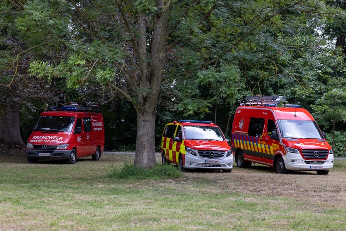 Brandweer redt duivenjong uit vijver in Park van Mesen | Lede | hln.be