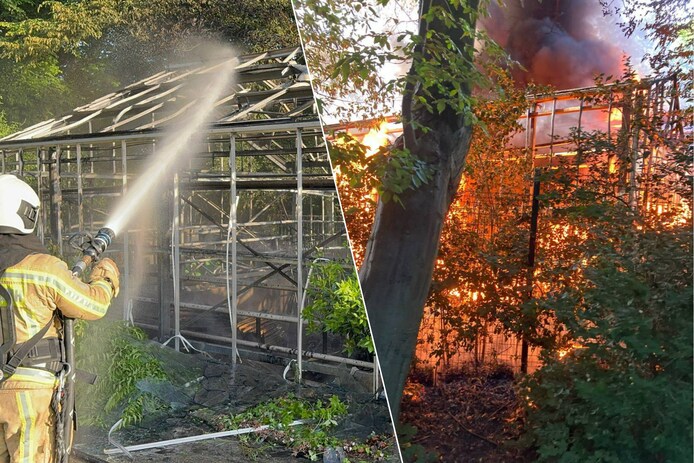 Brand in serres van het Josaphatpark in Schaarbeek | Brussel | hln.be
