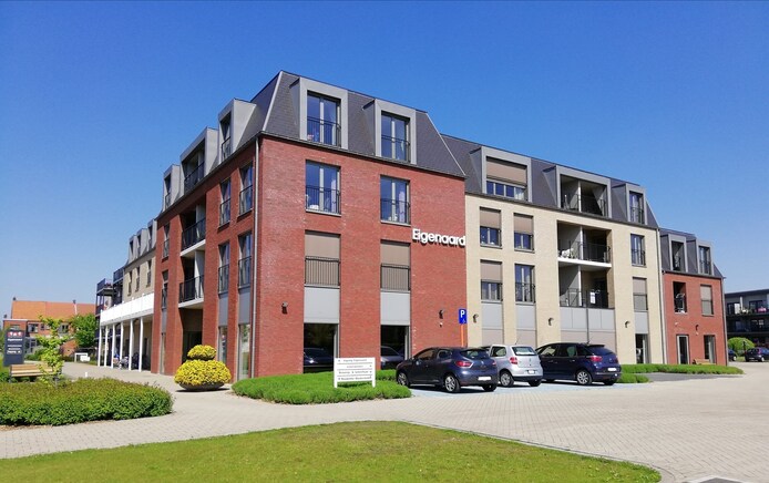 Zes maanden nieuw gemeentebestuur in Oud-Turnhout in zes opvallende ...