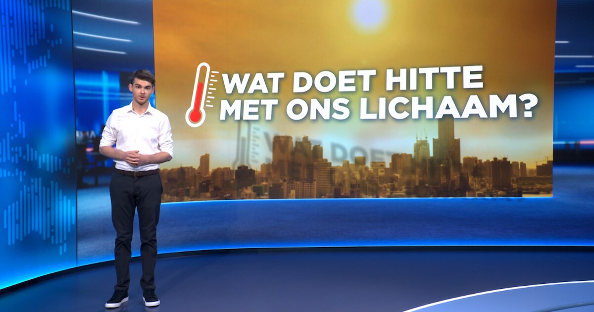 Uitgelegd. Wat doet extreme hitte met je lichaam? | Weernieuws | HLN.be