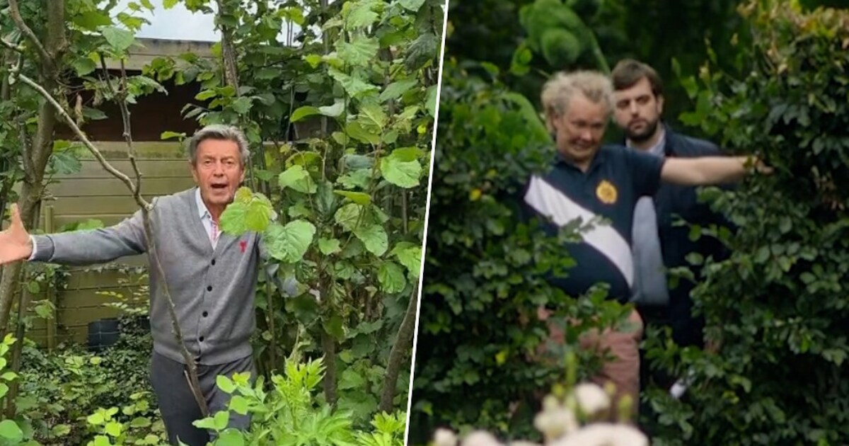 KIJK. Willy Sommers gaat Willy Persyn van ‘Nonkels’ achterna ...