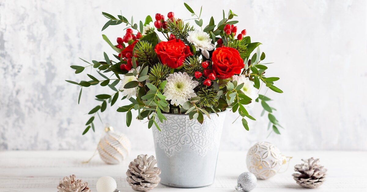 Kerstboeket gekregen? Zo blijven je bloemen langer mooi: van correct ...