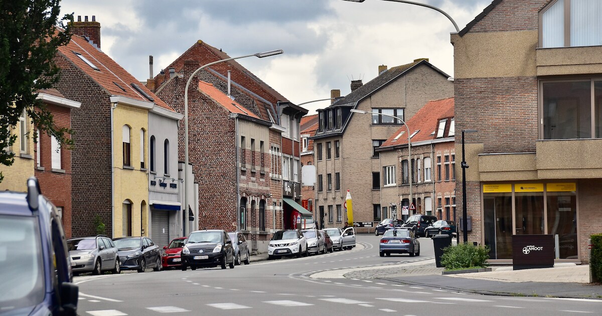 Aanleg fietssuggestiestroken op Diksmuideseweg, Polenlaan en Brugseweg ...